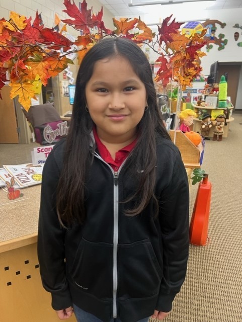 Live Feed | Dr. Palmira Mendiola Elementary School