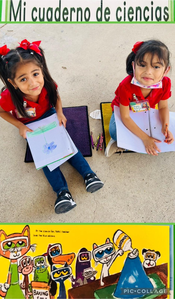 Live Feed | Elodia R. Chapa Elementary School