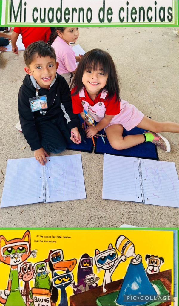 Live Feed | Elodia R. Chapa Elementary School