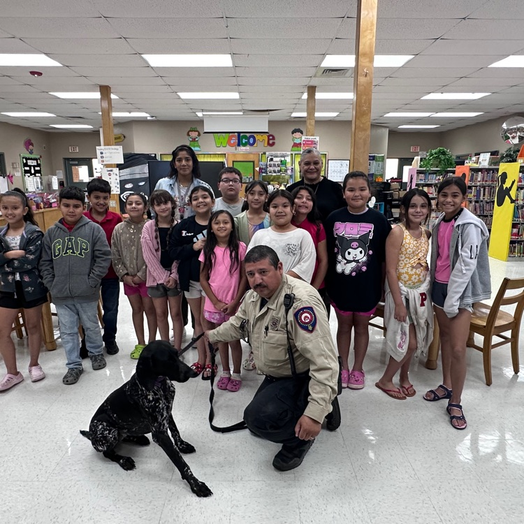 Live Feed | Elodia R. Chapa Elementary School