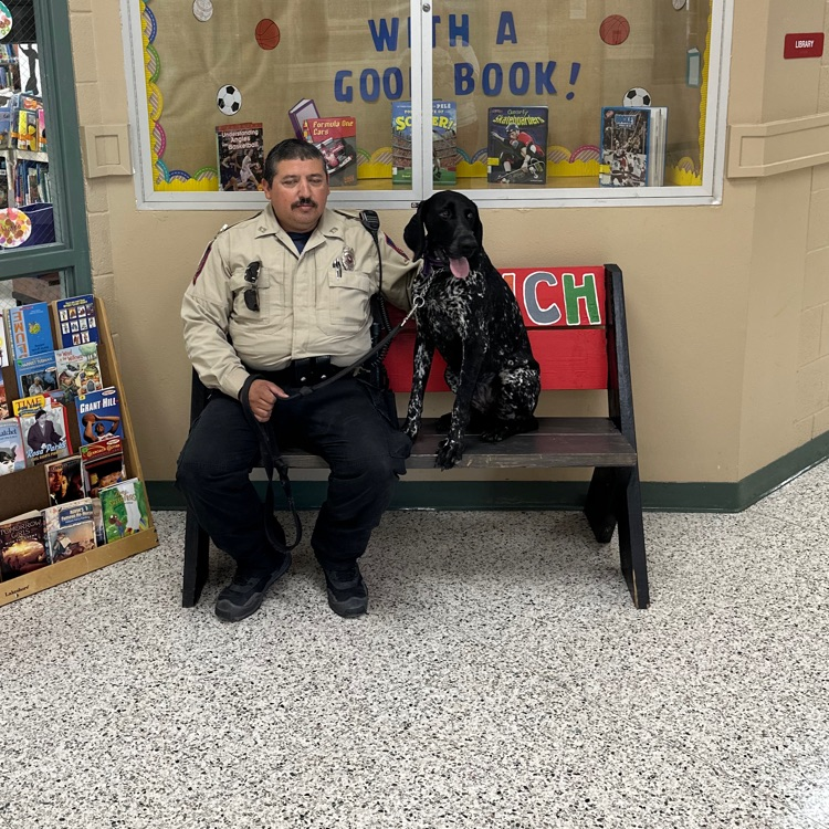 Live Feed | Elodia R. Chapa Elementary School